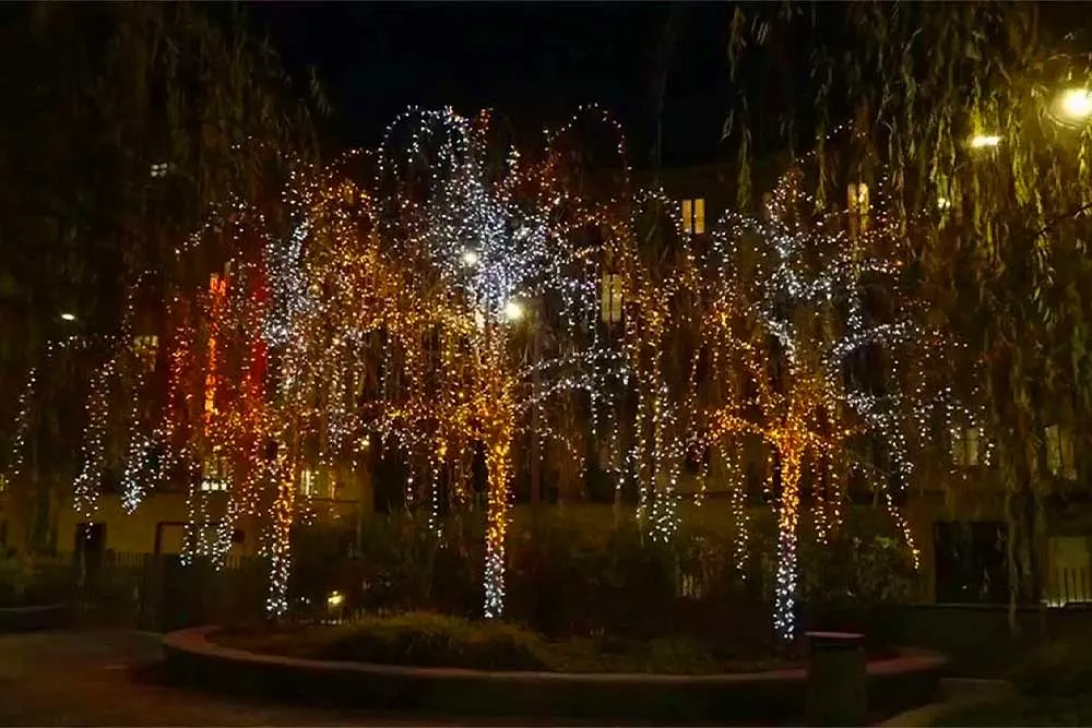 Tree Lighting - Twinkly Pro